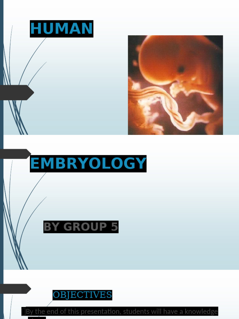 5 Embryology | PDF | Heart | Gastrointestinal Tract