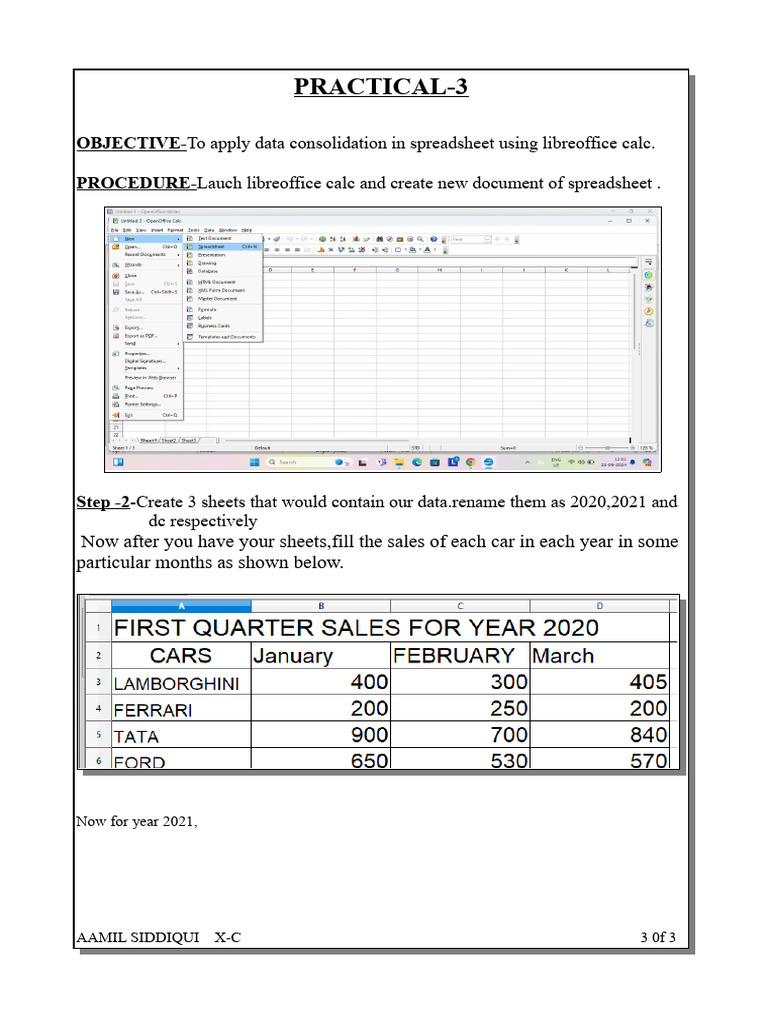 Data Consolidation Class - X Practical FINAL | PDF