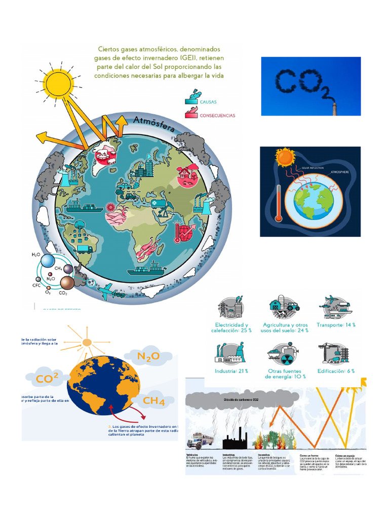 Documento (2) 3 | PDF