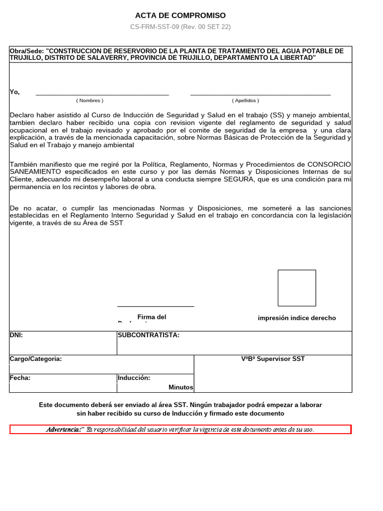 Cs-frm-sst-09 Acta de Compromiso Rev 00 | PDF