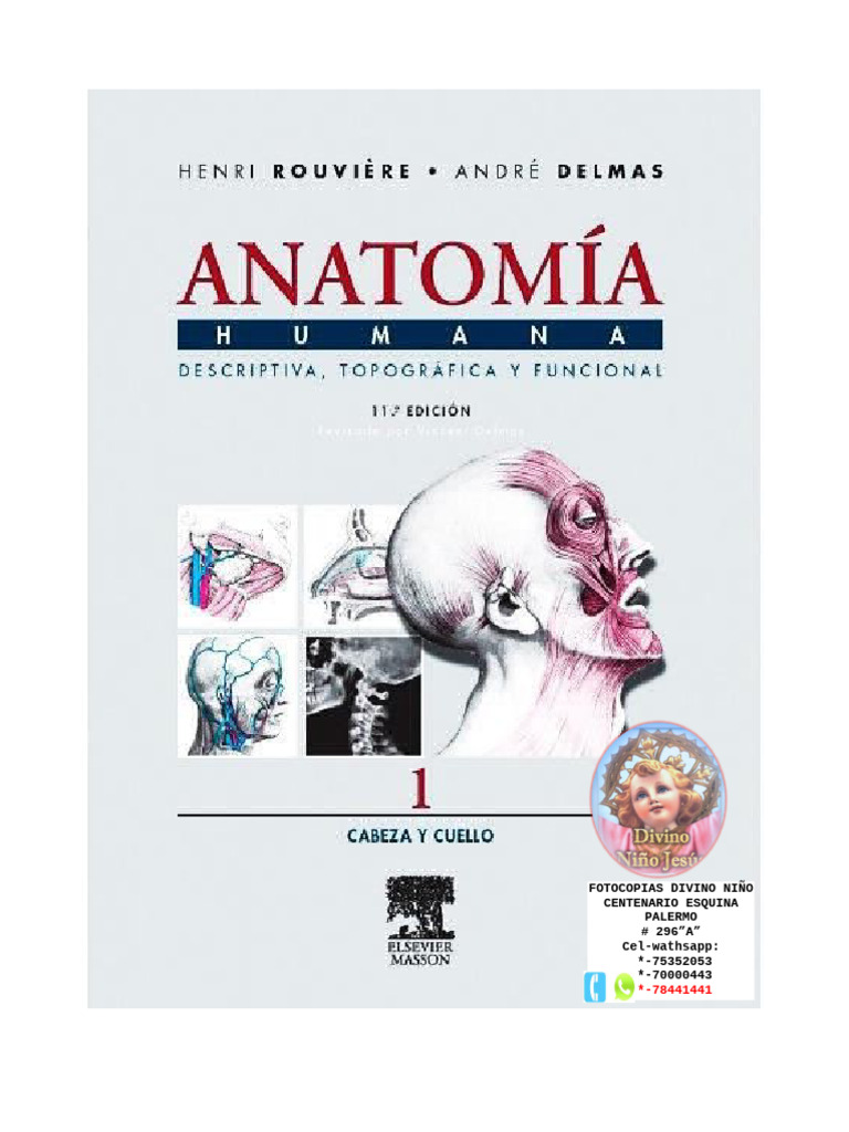 Anatomia Rouviere 4 Tomos | PDF
