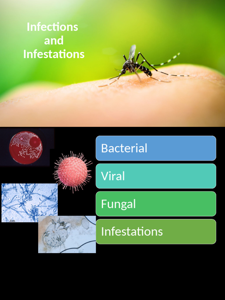 Skin Infections & Infestations | PDF