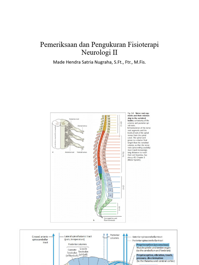 Pemeriksaan Dan Pengukuran Fisioterapi Neurologi II | PDF