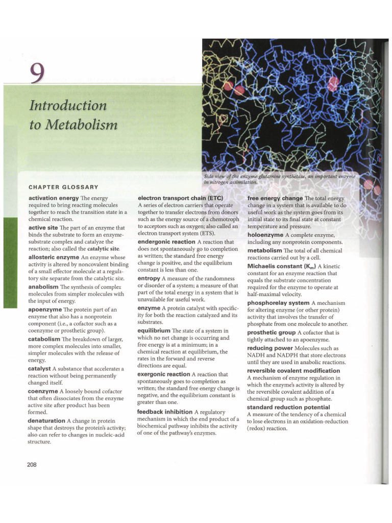 MICRO Ch9 Metabolism | PDF