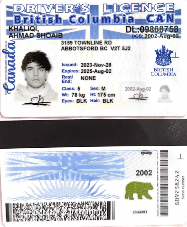 Shoaib Khaliqi Driver License | PDF