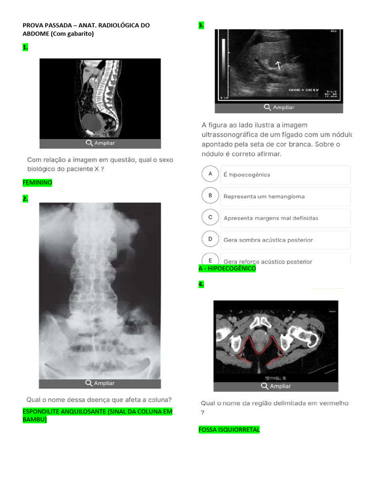 (GAB) Prova Passada Anatomia Radiológica | PDF