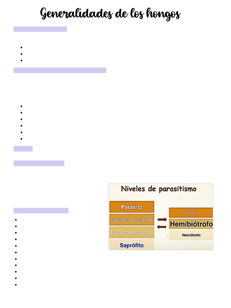 S8 - Generalidades de Los Hongos | PDF | Hongo | Micotoxinas