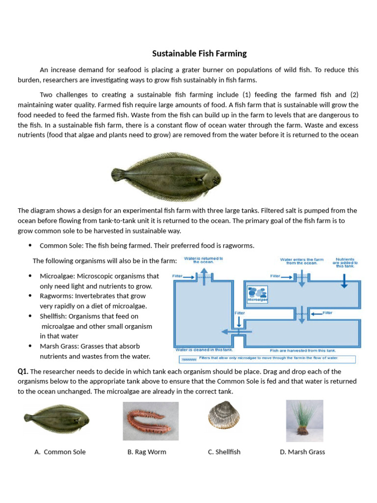 Sustainable Fish Farming PISA | PDF | Fish | Foods