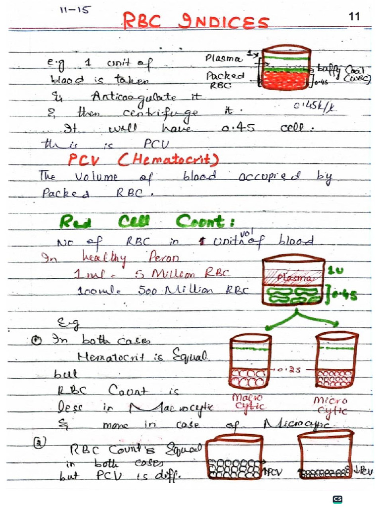 Red Blood Cells - R.B.C Indices | PDF