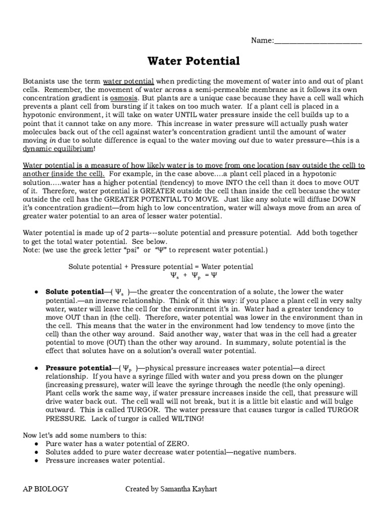 Water Potential Basics Worksheet (This) | PDF | Continuum Mechanics ...