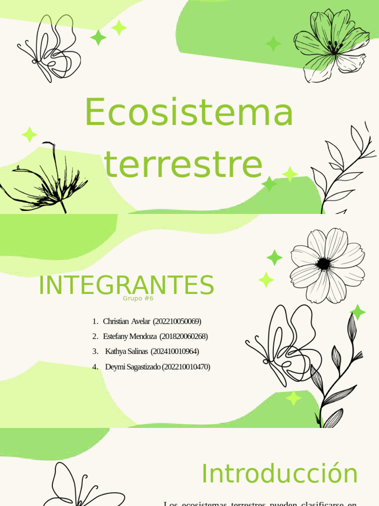 Ecosistemas Terrestres | PDF | Ecosistema | Los bosques