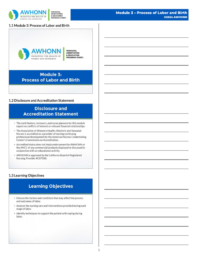 Process of LAbor and Birth Slideshow | PDF