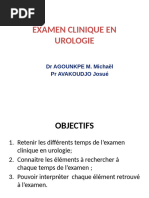 Globe vésical et rétention urinaire | PDF | Prostate | Incontinence ...