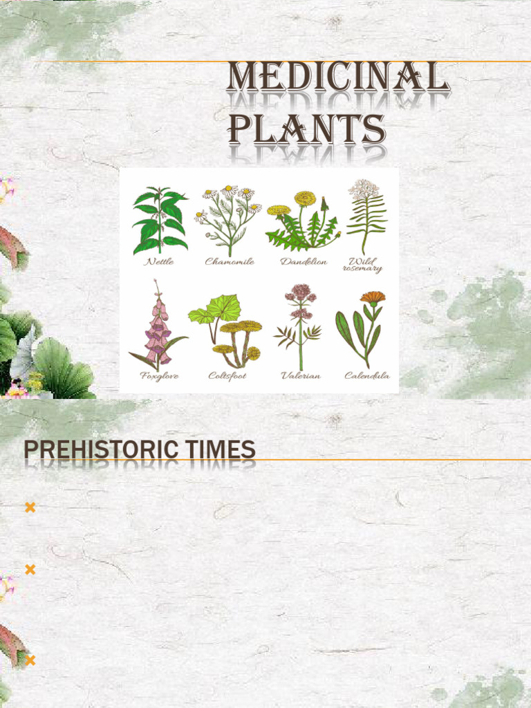 History of Medicinal Plants Usage | PDF | Malaria | Aspirin