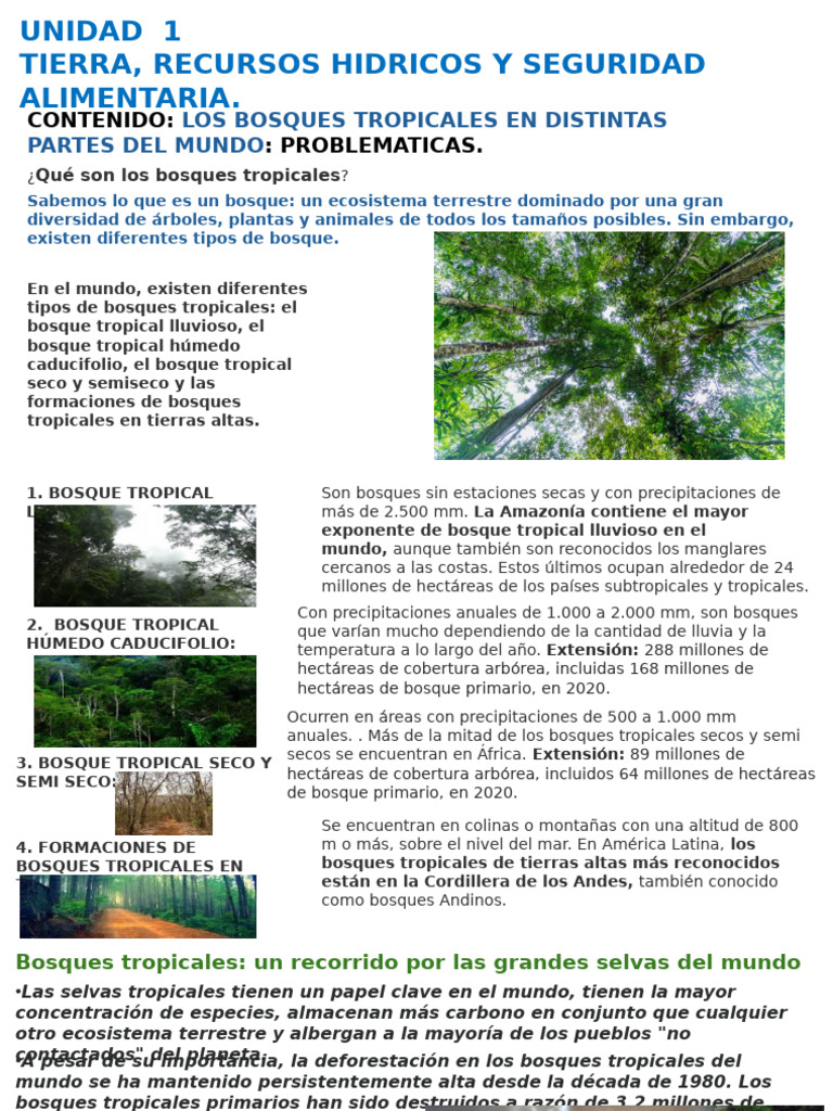 Bosques Tropicales y Desafíos Globales | PDF | Los bosques | Selva
