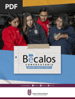 Lineamientos Beifi | PDF