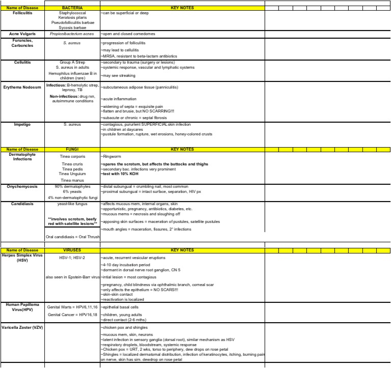 Skin Summary Chart | PDF | Skin Cancer | Cutaneous Conditions