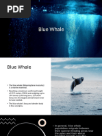 Whales | PDF
