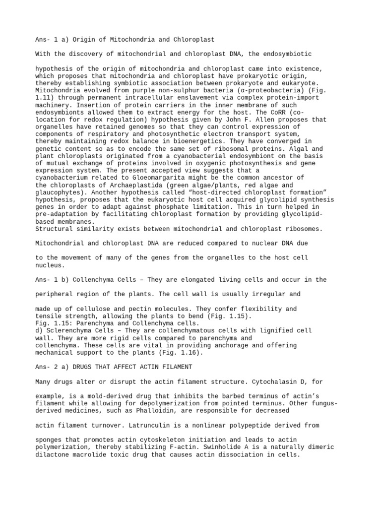 Mzo-001 | PDF | Microtubule | Cell Membrane