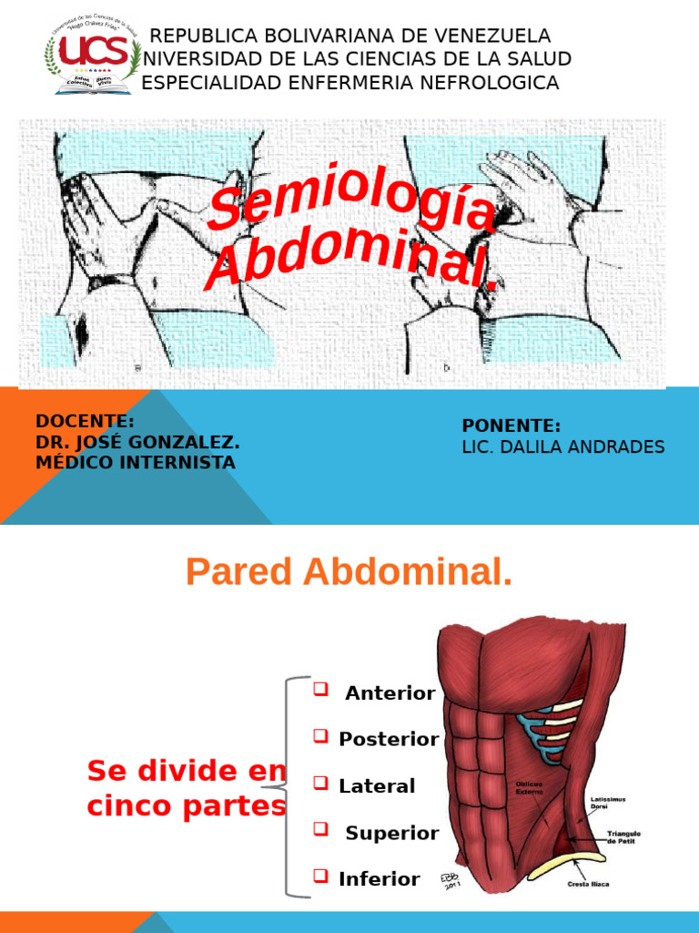 Lamina De Semiologia Abdominal Pdf