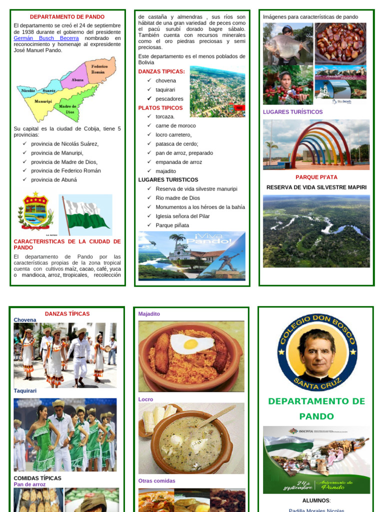 Triptico DEPARTAMENTO DE PANDO | PDF | Alimentos | Cocina