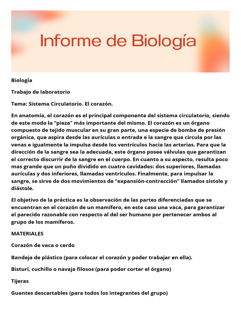 Corazon de Vaca Esta Con Grasa Que Esta Compacta y Dura, Con Un Corte ...