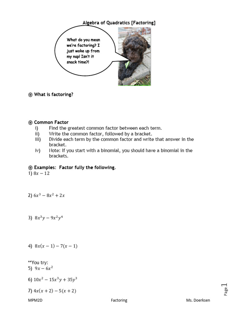 Algebra of Quadratics (Factoring) BSS | PDF | Factorization | Mathematical Objects