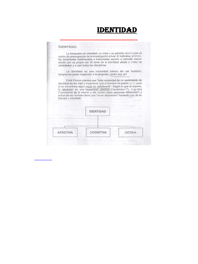 Trabajo Practico 4 Identidad | PDF | Adolescencia | Sicología