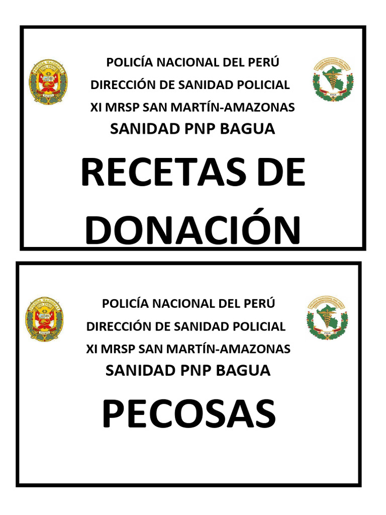 Formatos Sanidad PNP Bagua | PDF