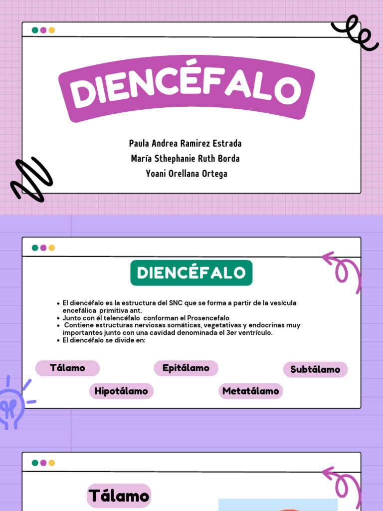 DIENCÉFALO | PDF | Hipotálamo | Glándula pituitaria