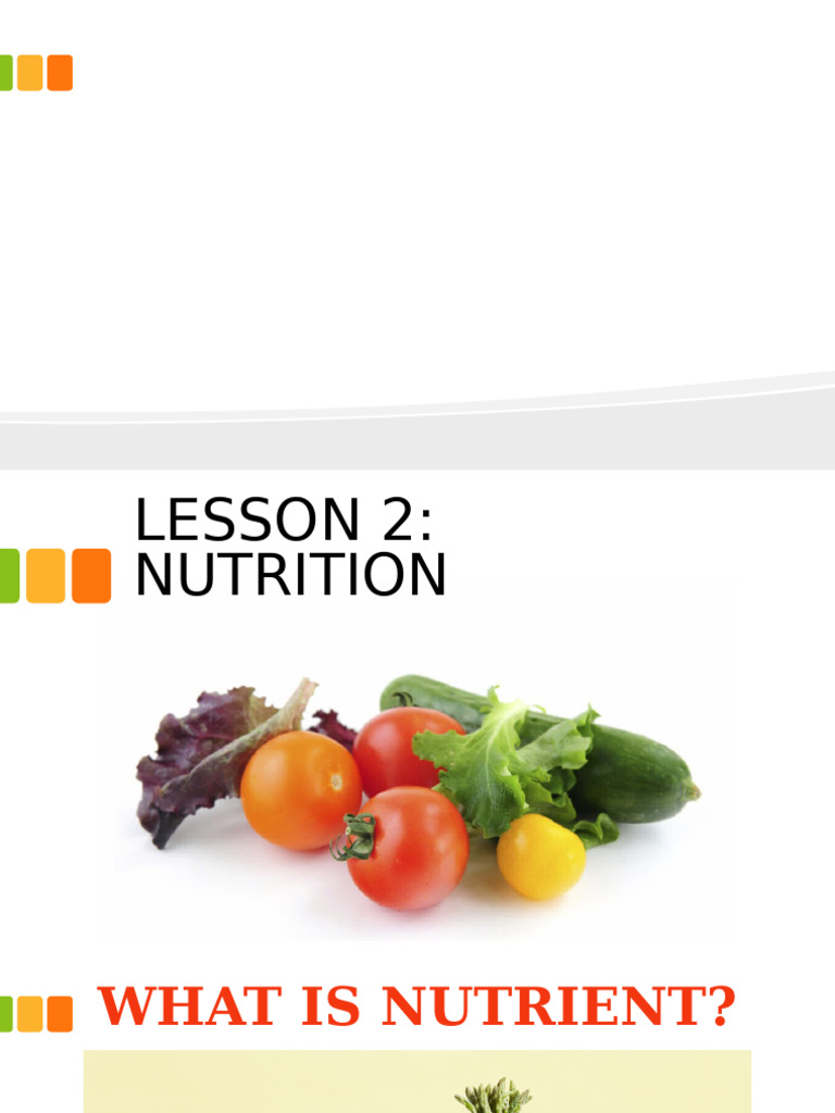 Essential Nutrition and Food Groups Guide | PDF | Nutrition | Diet ...