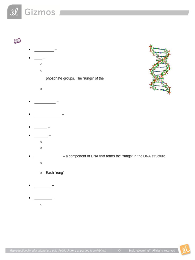 Building Dna Vocab | PDF | Science & Mathematics