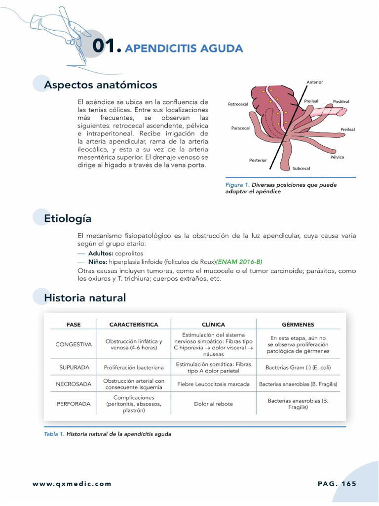 Apendicitis | PDF