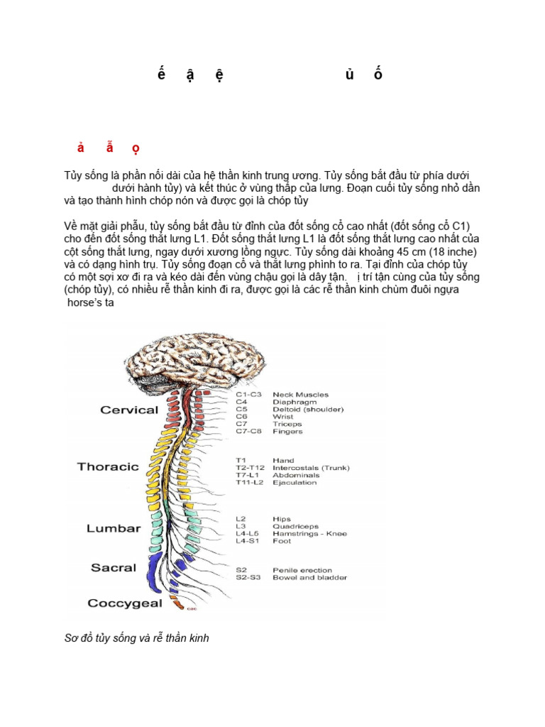 Tiep Can Benh Nhan Chen Ep Tuy Song New 1 | PDF