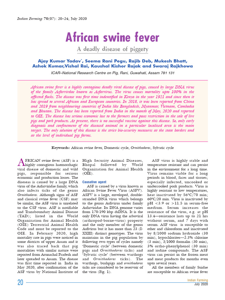 Ojsadmin, 06 African Swine Fever | PDF | Virus | Immunology