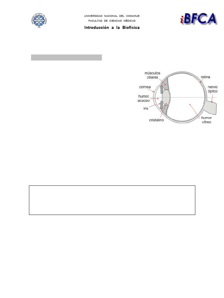 El Ojo como Sistema Óptico | PDF | Ojo humano | Óptica