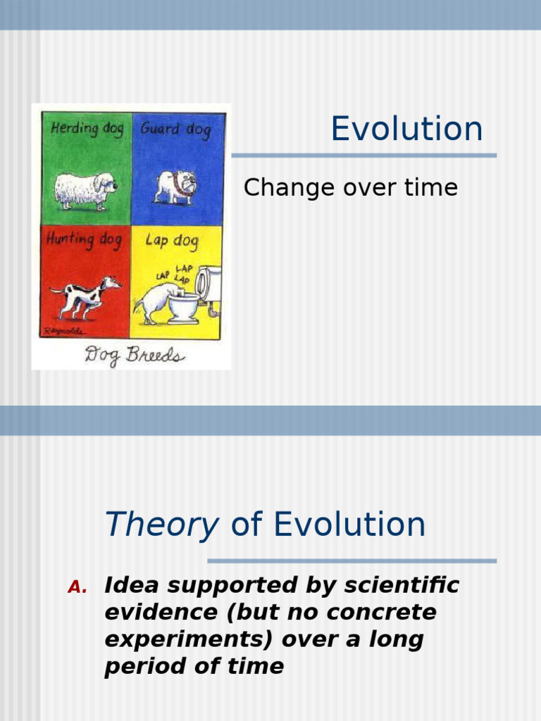 Lecture 1 - Evidence of Evolution | PDF | Evolution | Natural Selection