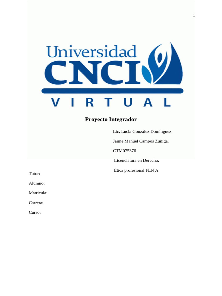 Ética Profesional FLN A-PROYECTO INTEGRADOR | PDF