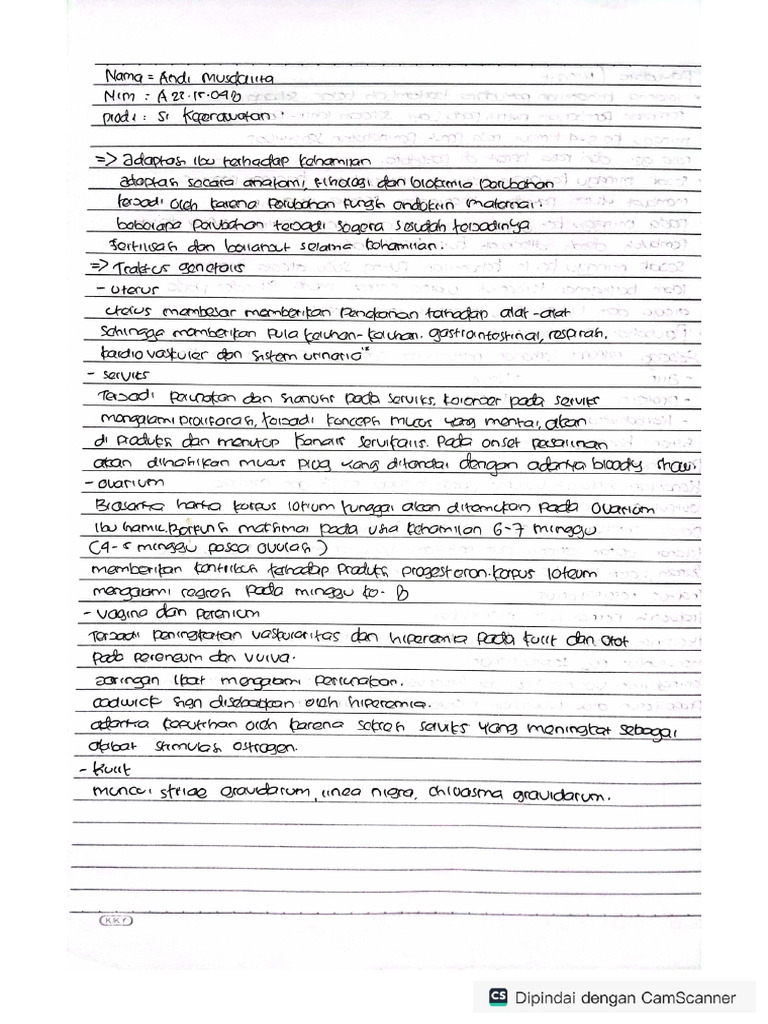 Andi.Musdalita | PDF