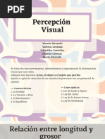 Ejercicios Percepcion Visual | PDF