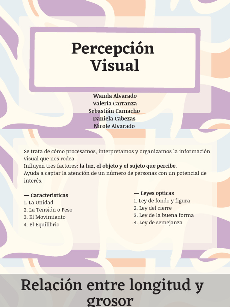Percepción Visual | PDF | Percepción | Percepción visual