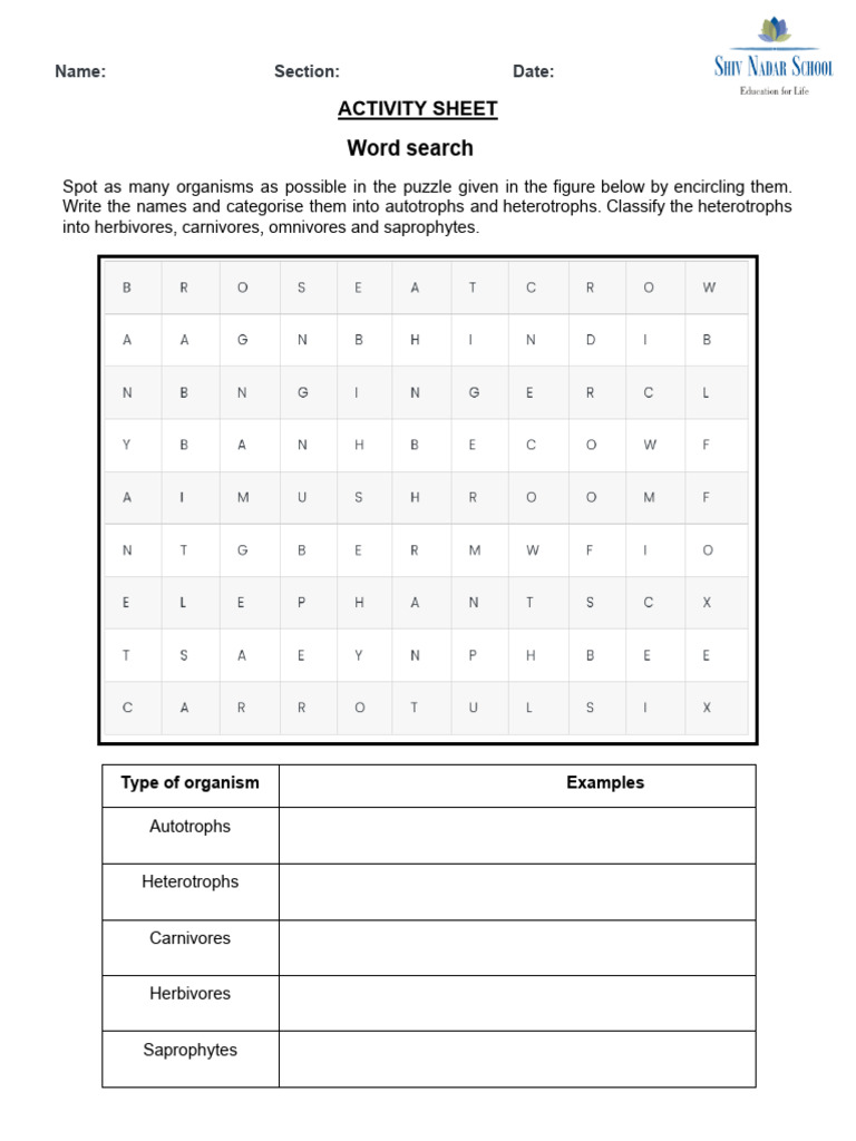 Nutrition in Plants - Activity Sheet | PDF