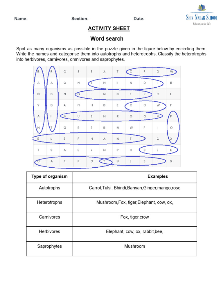 Organism Classification Activity Sheet | PDF | Language Arts ...