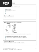 Grade 3 Plant Life Cycle Worksheet | PDF