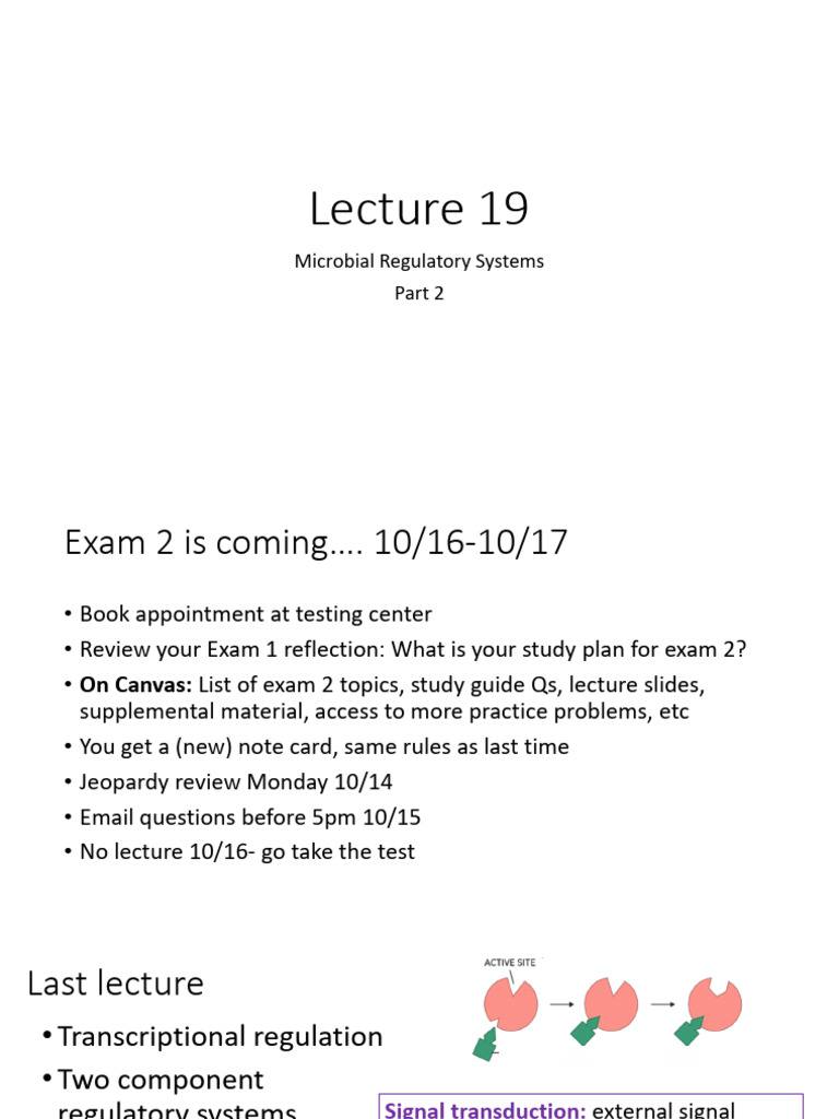 Lec19 | PDF | Operon | Repressor