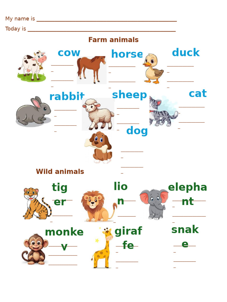Animal Name Practice Sheet | PDF