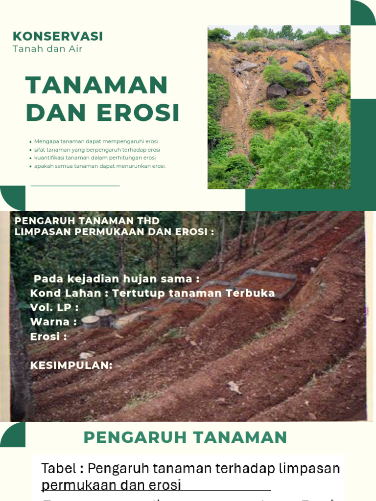 Tanaman Dan Erosi | PDF