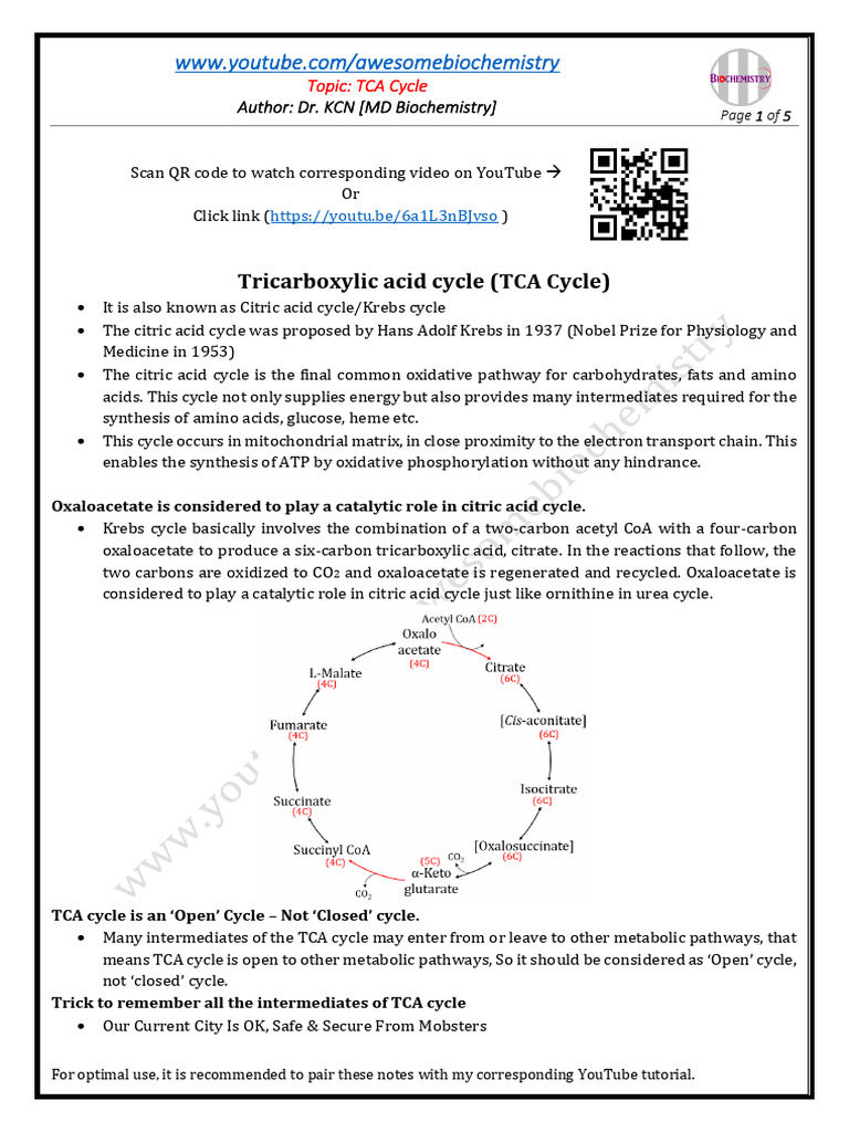 TCA Cycle | PDF | Citric Acid Cycle | Chemistry