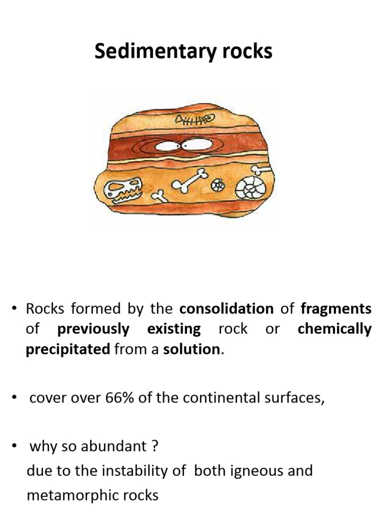 petro 2 sed | PDF | Sedimentary Rock | Clastic Rock