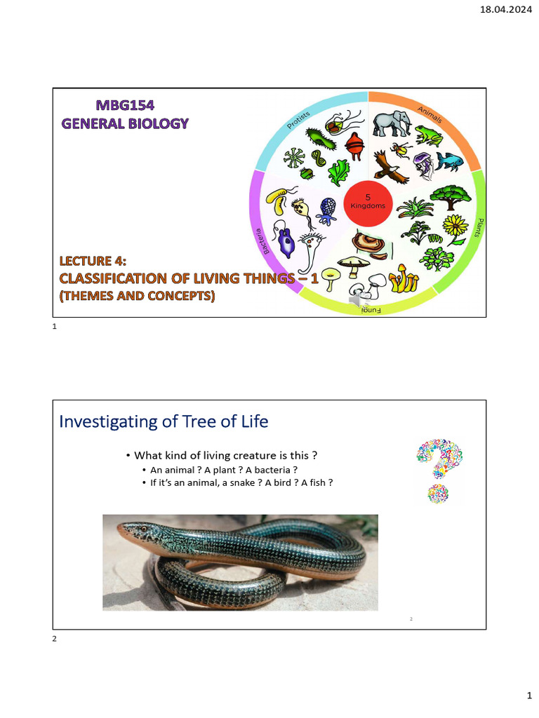 4 Classification of Living Things 1 | PDF | Taxonomy (Biology ...